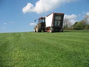 SOUTH DEVON TURF, Plymouth Turf Supplies, Torbay Turf Suppliers