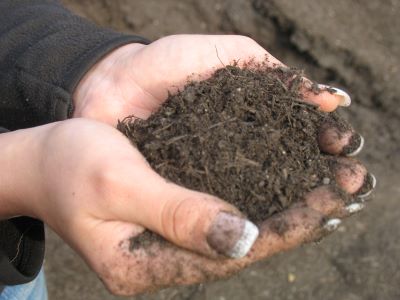 Devon Compost. PAS100 compost in Plymouth, Torbay & Exeter.