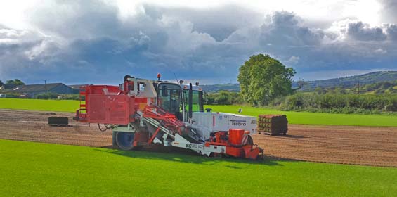 SOUTH DEVON TURF. Plymouth,Torbay, Exeter Turf & Topsoil Supplier