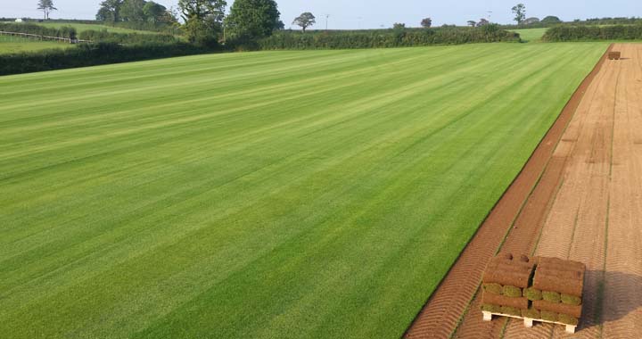 South Devon Turf farm tour & gallery