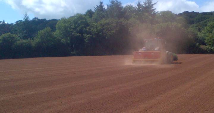 South Devon Turf farm tour & gallery